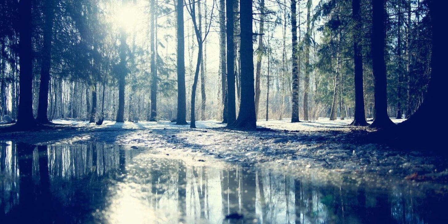 March 4: Facts & Historical Events On This Day - The Fact Site