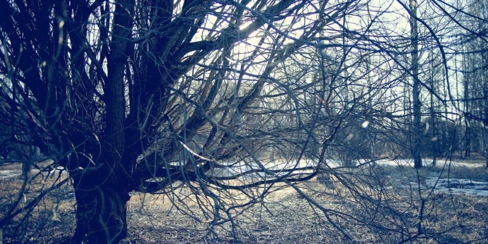 20 Interesting Facts About October - The Fact Site