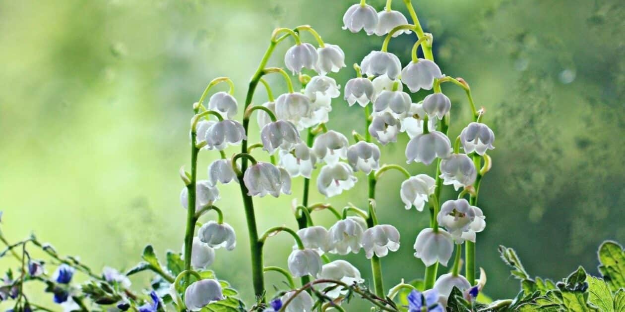 20 Marvelous Facts About May - The Fact Site