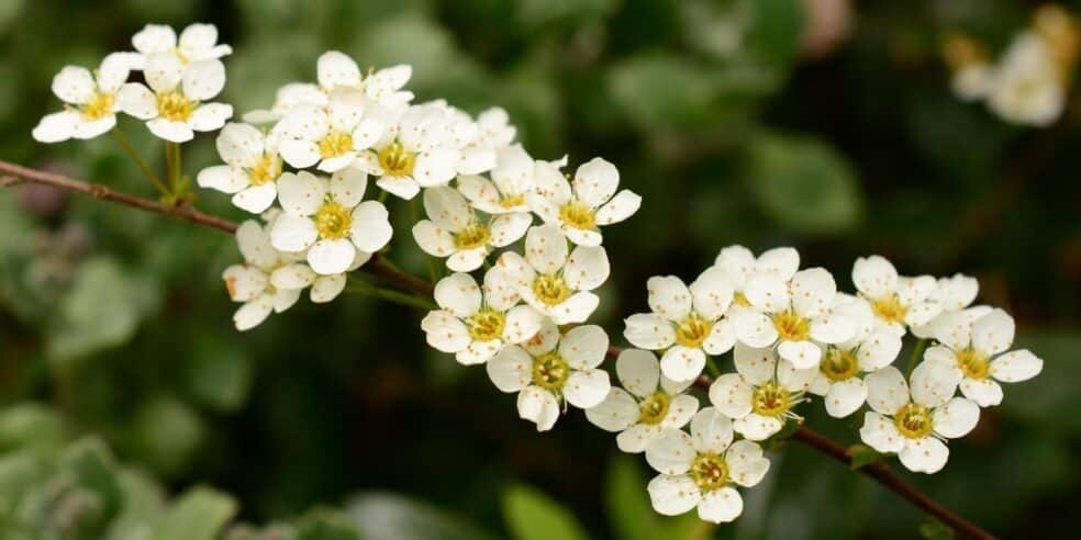 May 12: Facts & Historical Events On This Day - The Fact Site