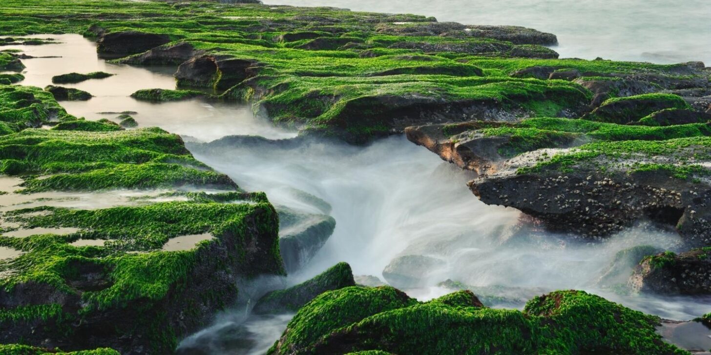 May 19: Facts & Historical Events On This Day - The Fact Site