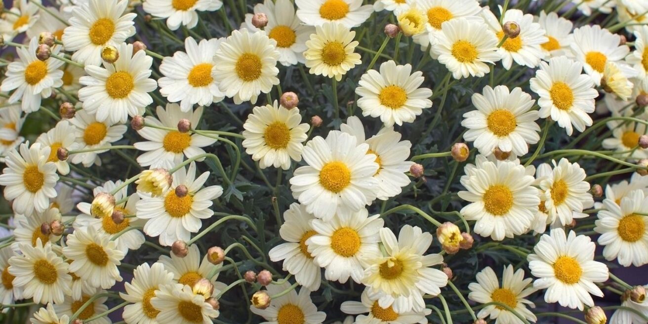 May 2: Facts & Historical Events On This Day - The Fact Site