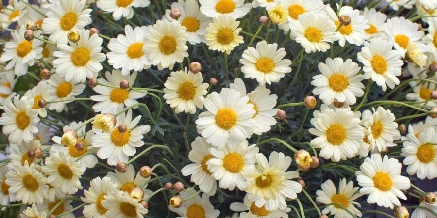 May 2: Facts & Historical Events On This Day - The Fact Site