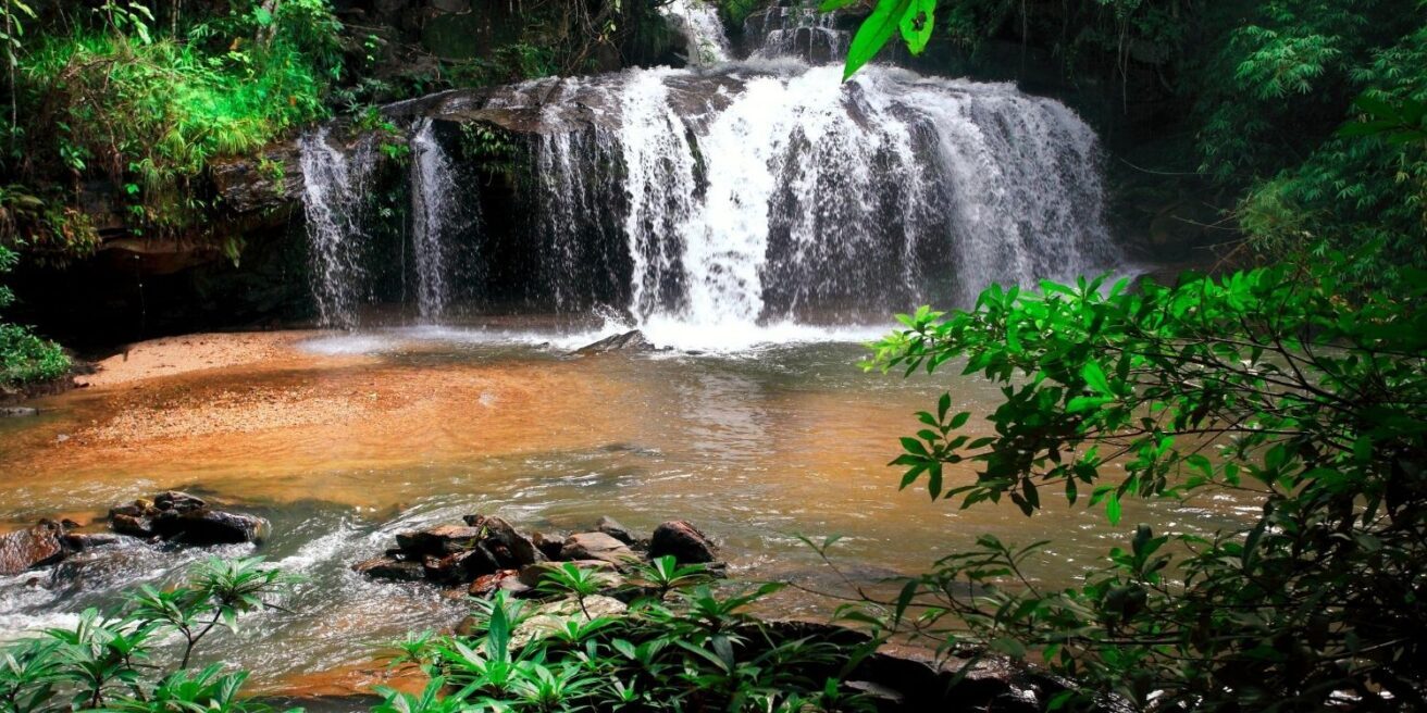 40 Distinct Facts About Drake - The Fact Site