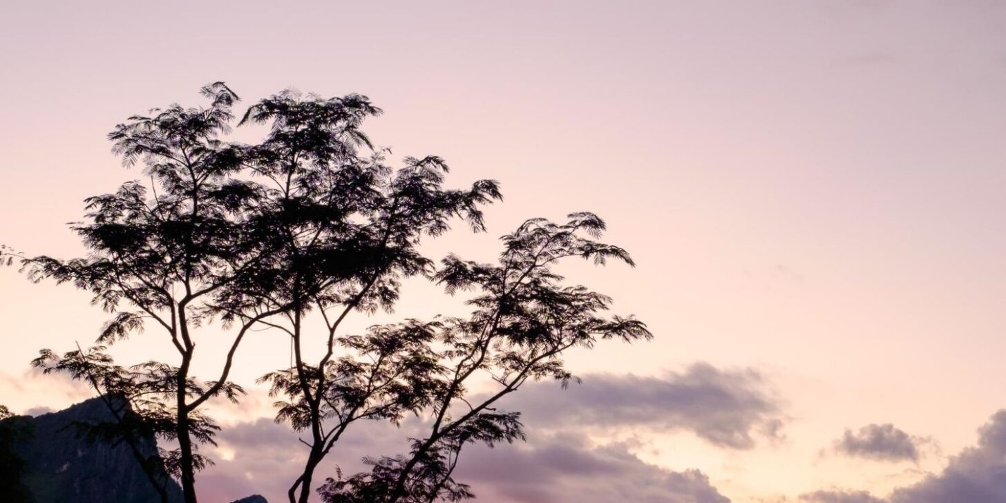 May 24: Facts & Historical Events On This Day - The Fact Site