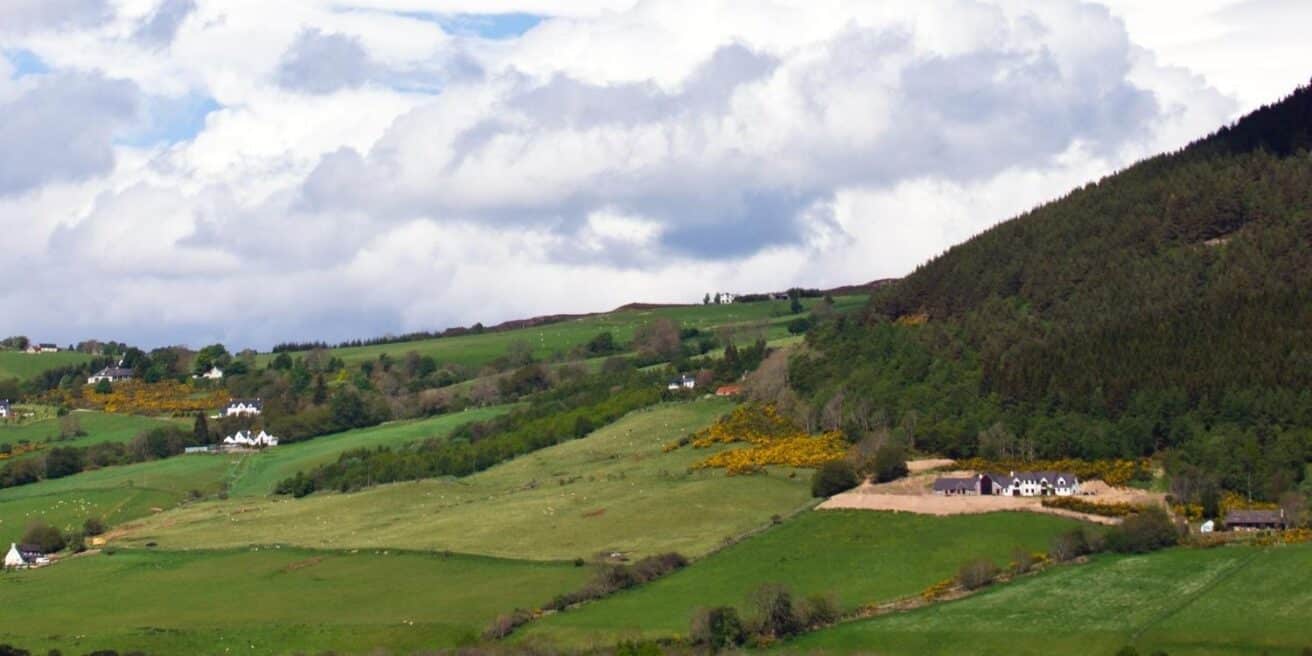 30 Dill-ightful Facts About Armadillos - The Fact Site