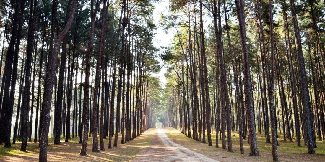 40 Distinct Facts About Drake - The Fact Site