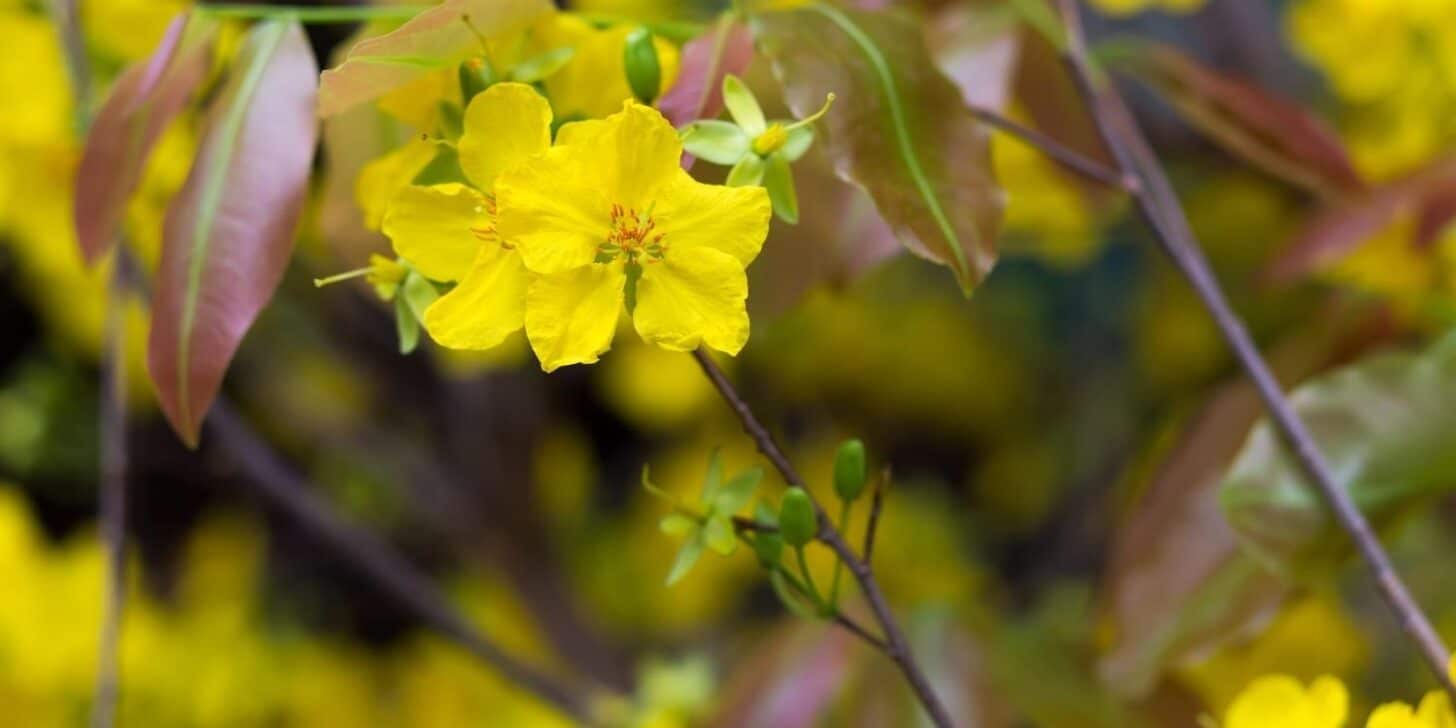 May 29: Facts & Historical Events On This Day - The Fact Site