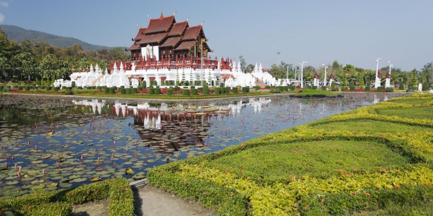 25 Best Facts About Bulbasaur | Pokémon - The Fact Site