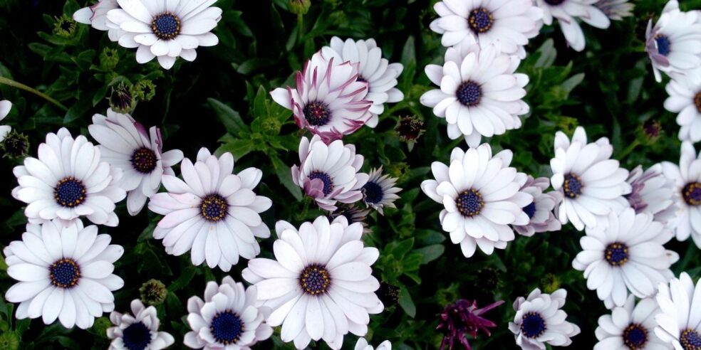 May 4: Facts & Historical Events On This Day - The Fact Site