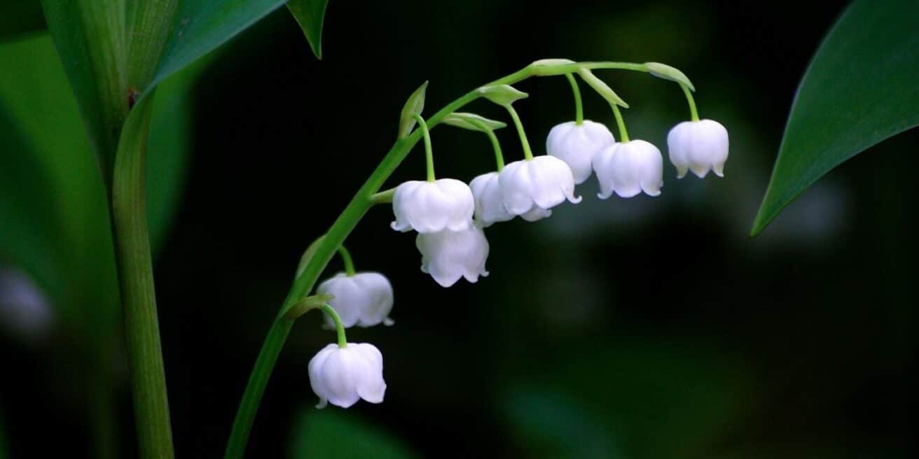 May 5: Facts & Historical Events On This Day - The Fact Site