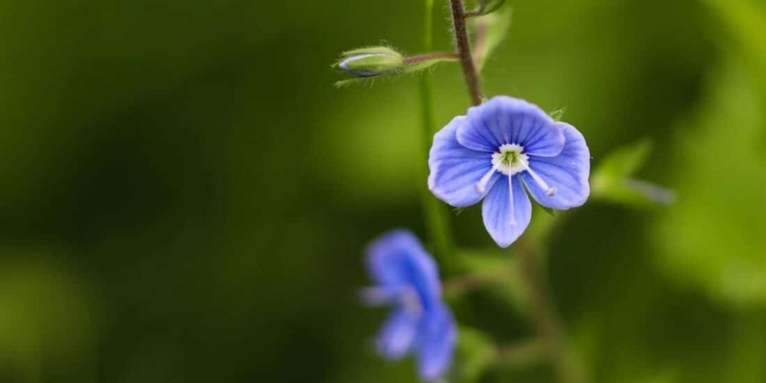 May 6: Facts & Historical Events On This Day - The Fact Site