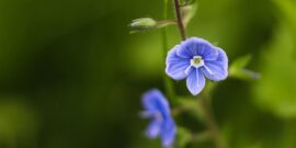 May 6: Facts & Historical Events On This Day - The Fact Site