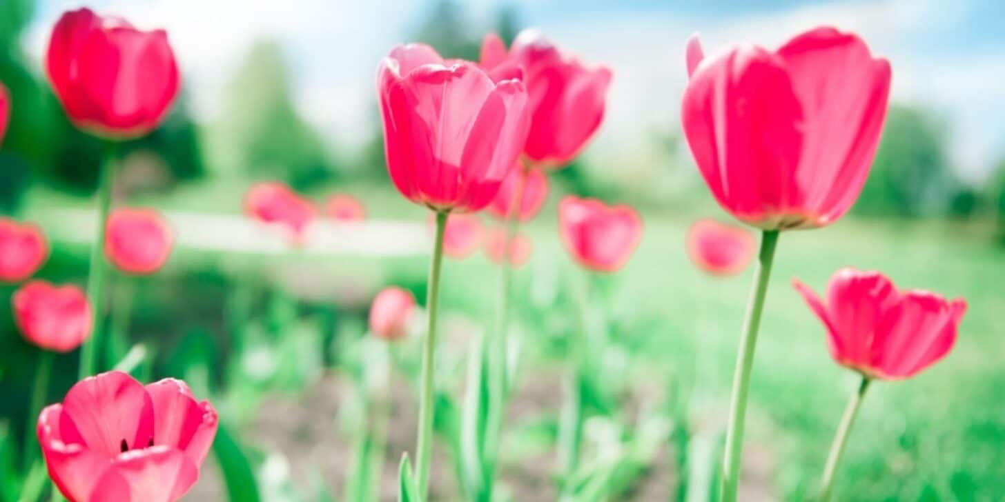 May 7: Facts & Historical Events On This Day - The Fact Site