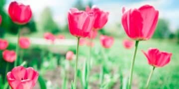 May 7: Facts & Historical Events On This Day - The Fact Site