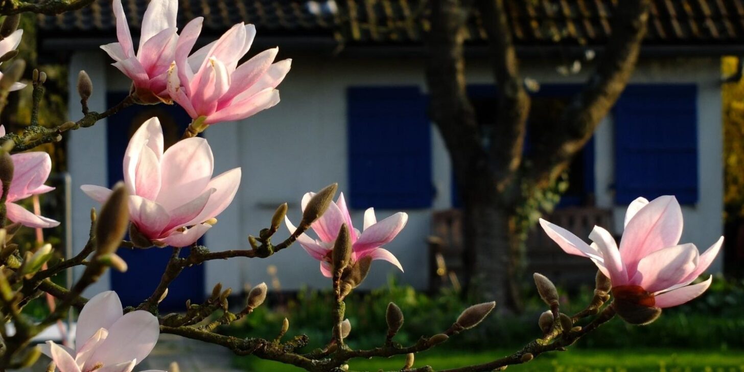 May 8: Facts & Historical Events On This Day - The Fact Site