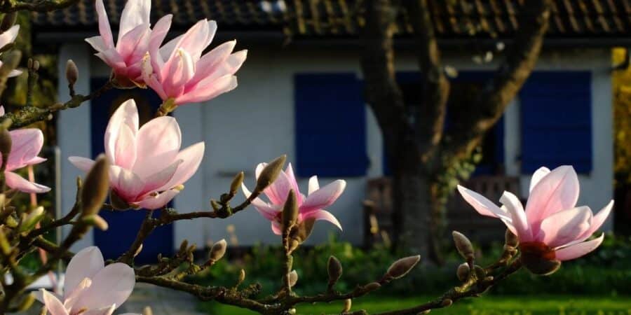 May 8: Facts & Historical Events On This Day - The Fact Site