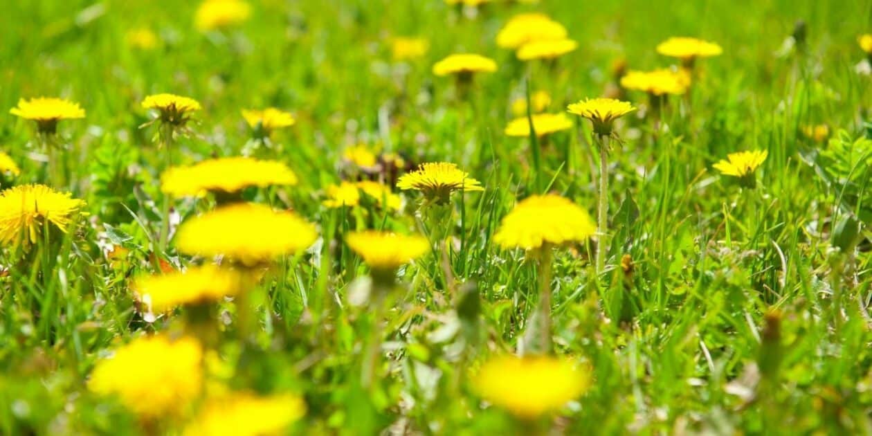 May 9: Facts & Historical Events On This Day - The Fact Site