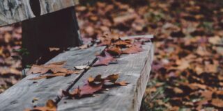 November 1: Facts & Historical Events On This Day - The Fact Site