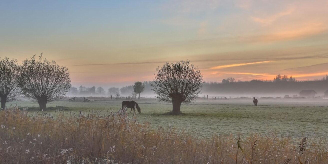 November 10: Facts & Historical Events On This Day - The Fact Site