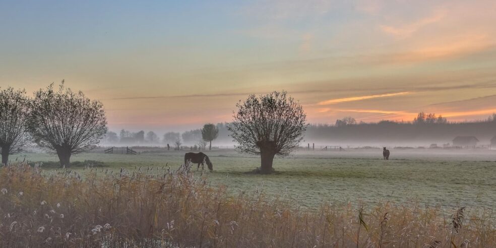 November 10: Facts & Historical Events On This Day - The Fact Site