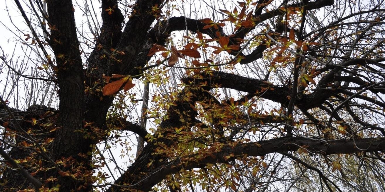 November 12: Facts & Historical Events On This Day - The Fact Site