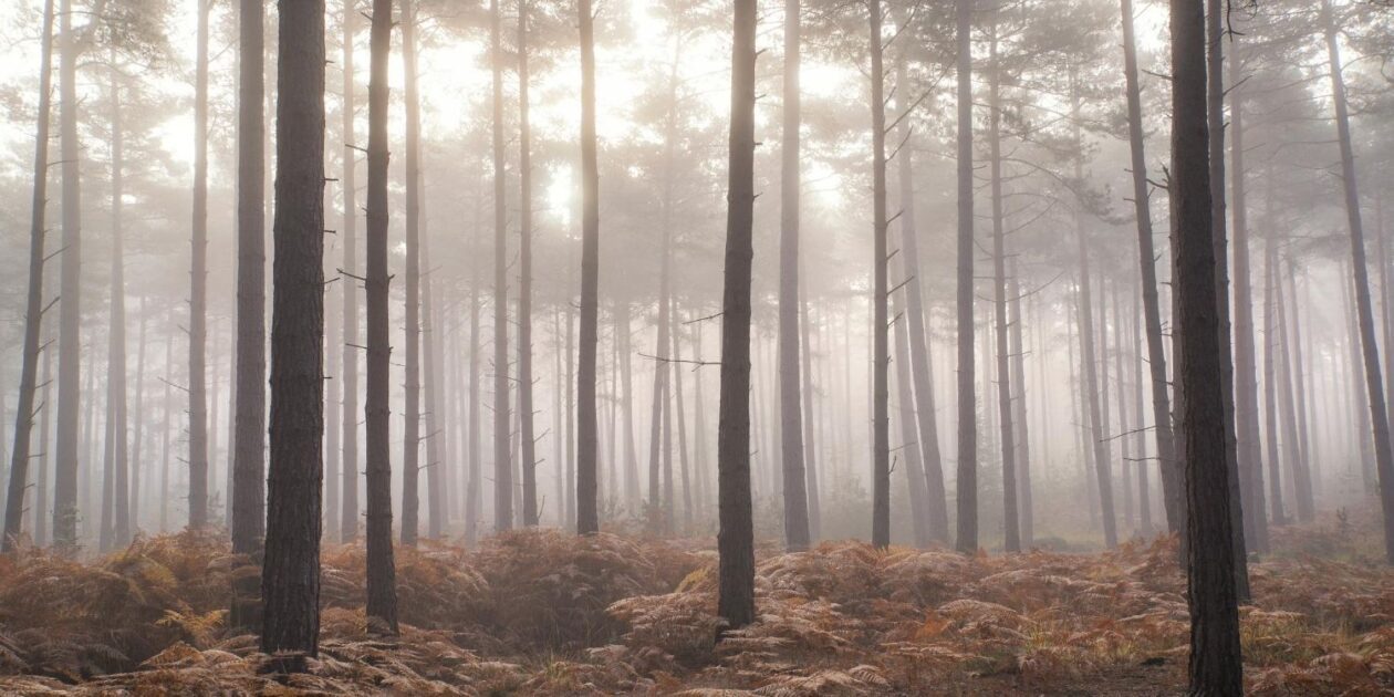 November 13: Facts & Historical Events On This Day - The Fact Site