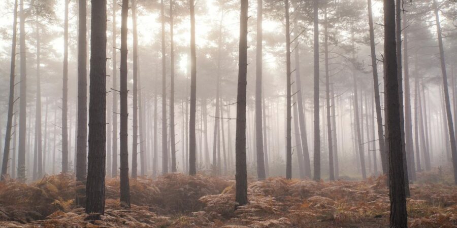 November 13: Facts & Historical Events On This Day - The Fact Site