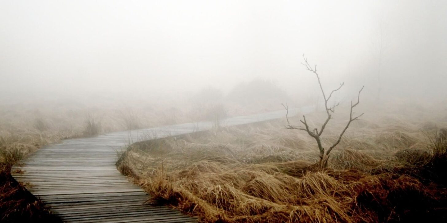 November 14: Facts & Historical Events On This Day - The Fact Site