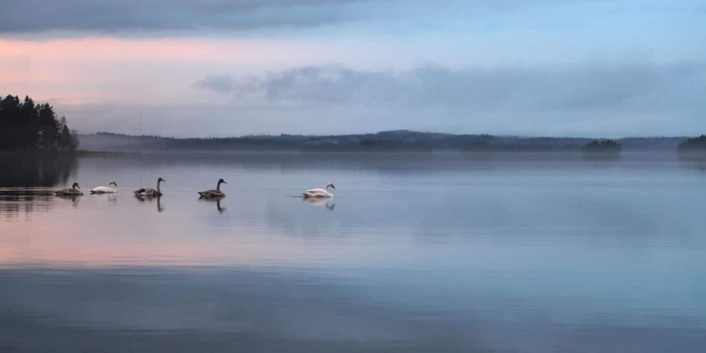 November 16: Facts & Historical Events On This Day - The Fact Site