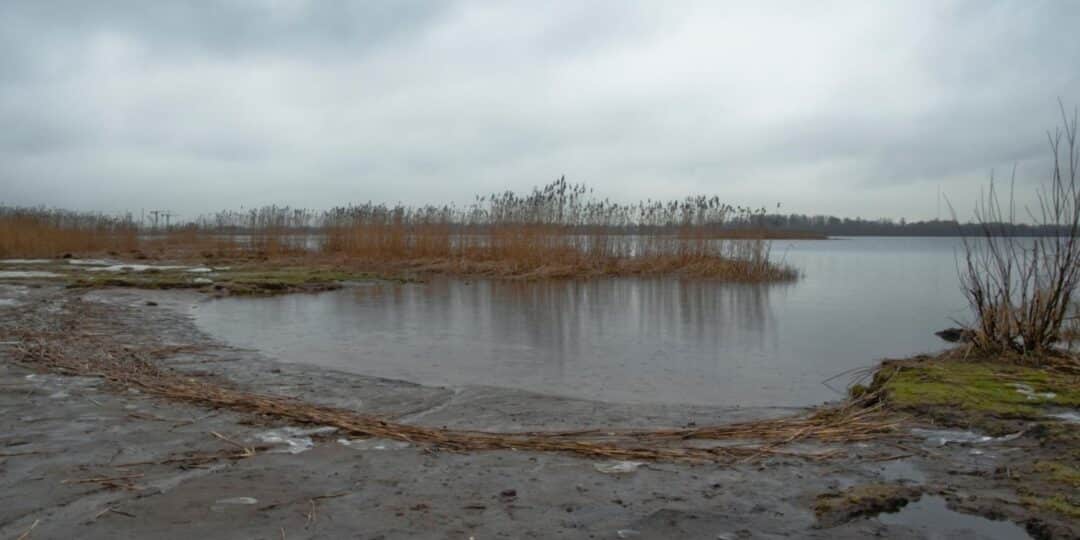 November 17: Facts & Historical Events On This Day - The Fact Site