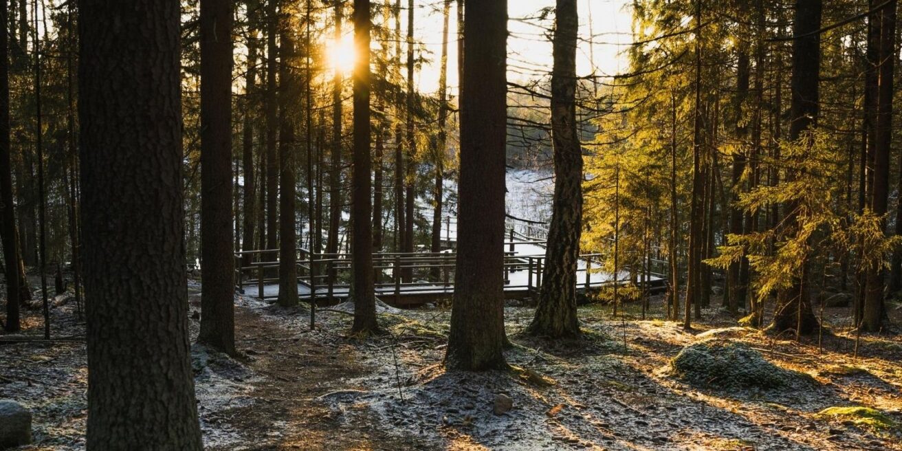 November 18: Facts & Historical Events On This Day - The Fact Site