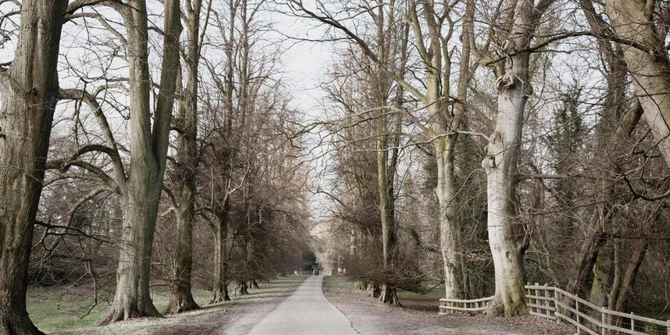 November 19: Facts & Historical Events On This Day - The Fact Site