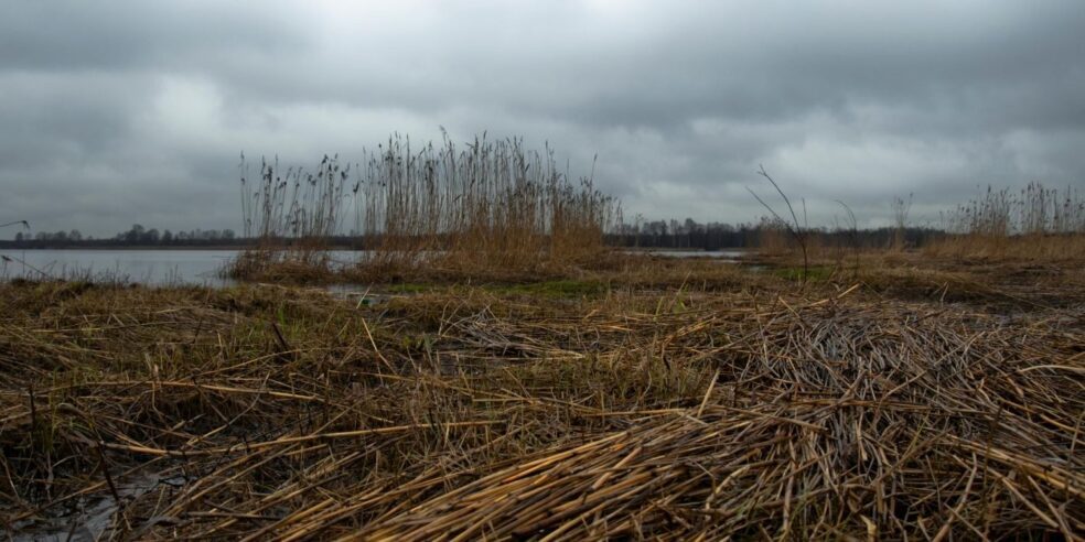 November 20: Facts & Historical Events On This Day - The Fact Site