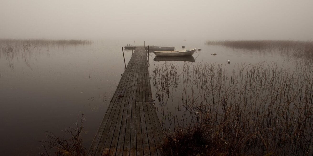 November 22: Facts & Historical Events On This Day - The Fact Site