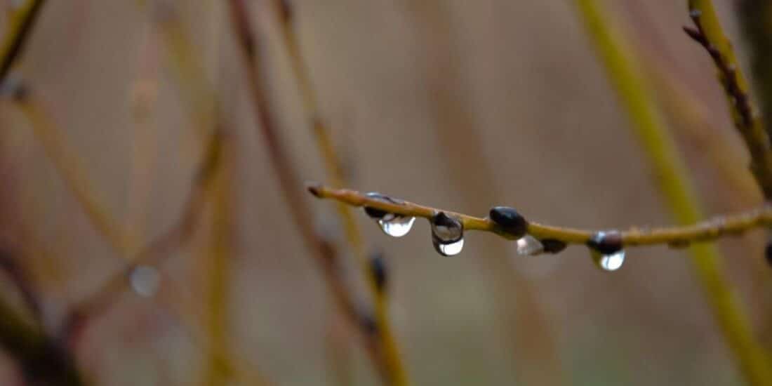 November 23: Facts & Historical Events On This Day - The Fact Site