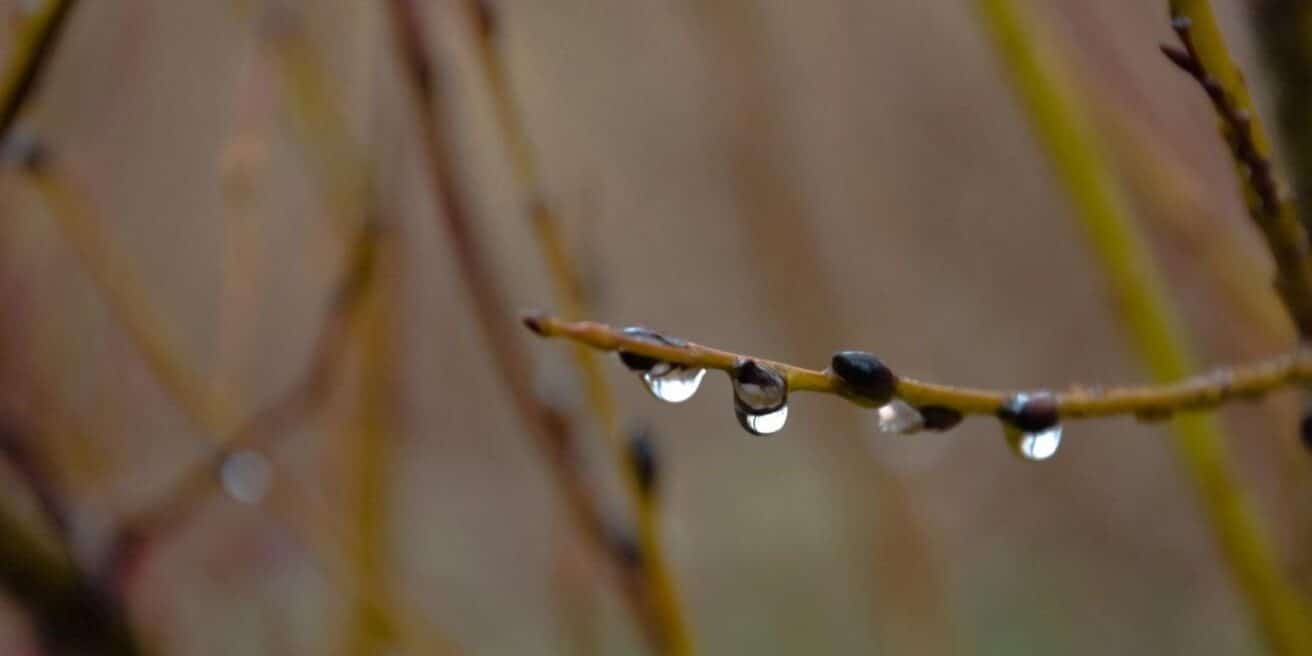 November 23: Facts & Historical Events On This Day - The Fact Site