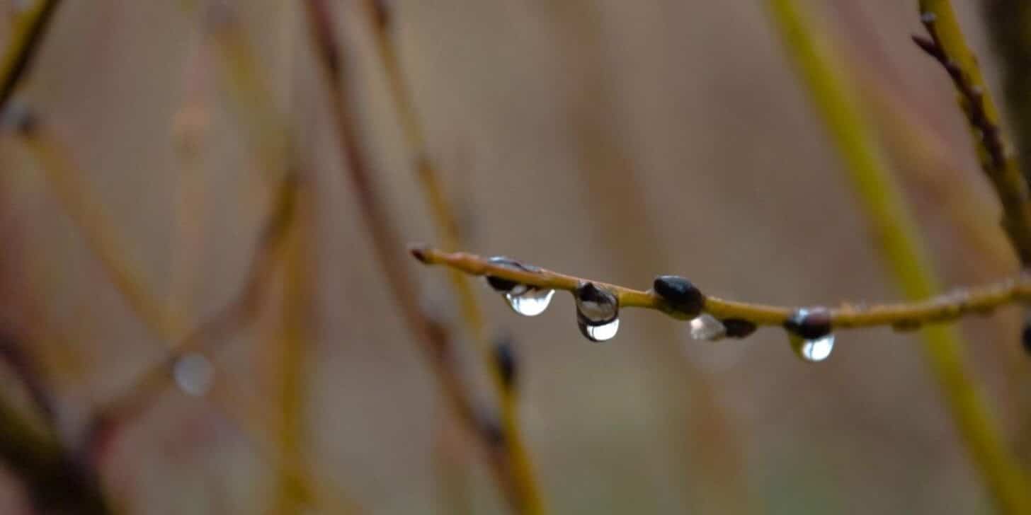 November 23: Facts & Historical Events On This Day - The Fact Site