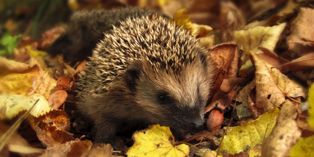 November 3: Facts & Historical Events On This Day - The Fact Site