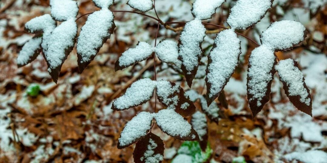 November 30: Facts & Historical Events On This Day - The Fact Site