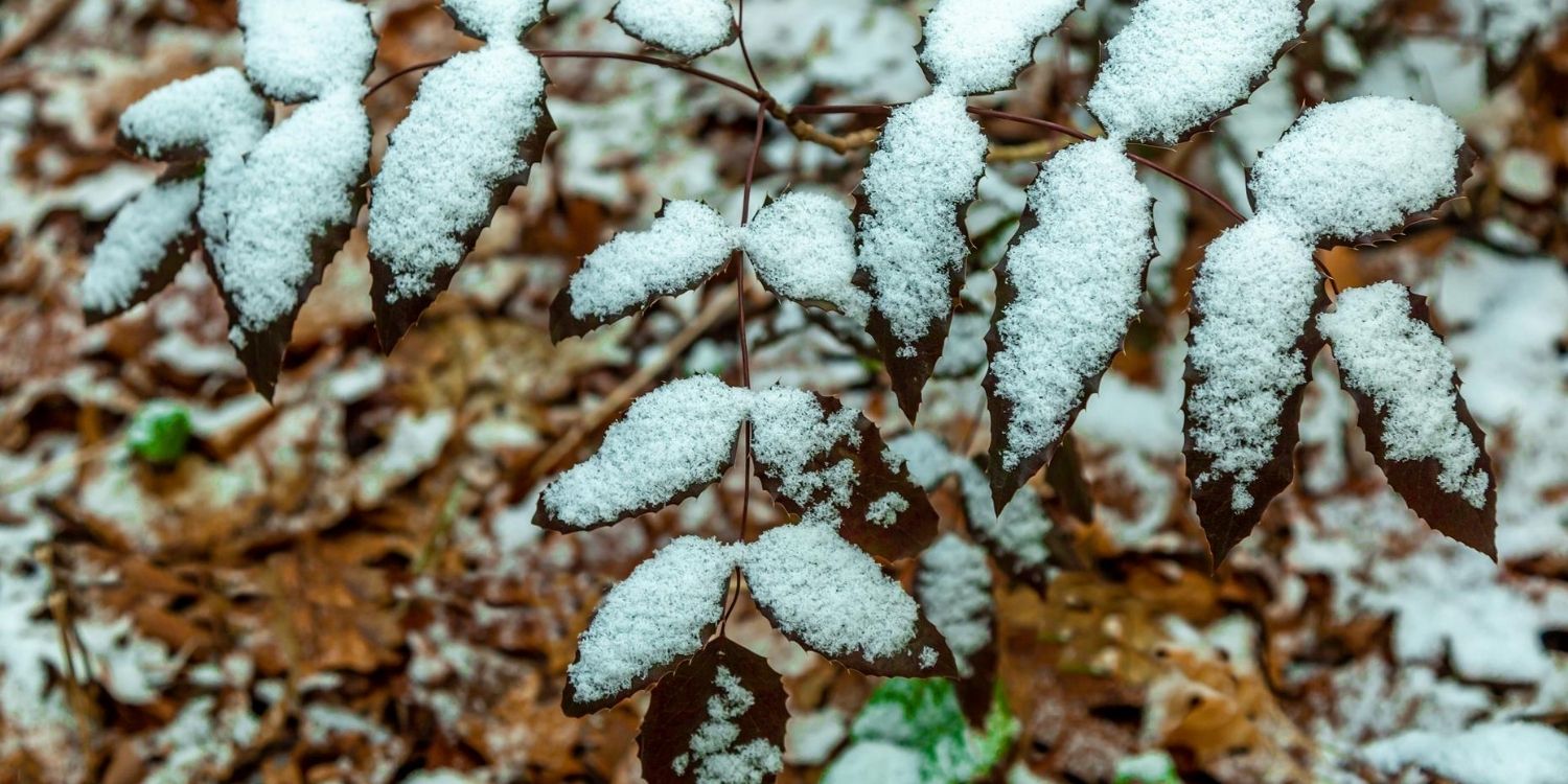 November 30: Facts & Historical Events On This Day - The Fact Site