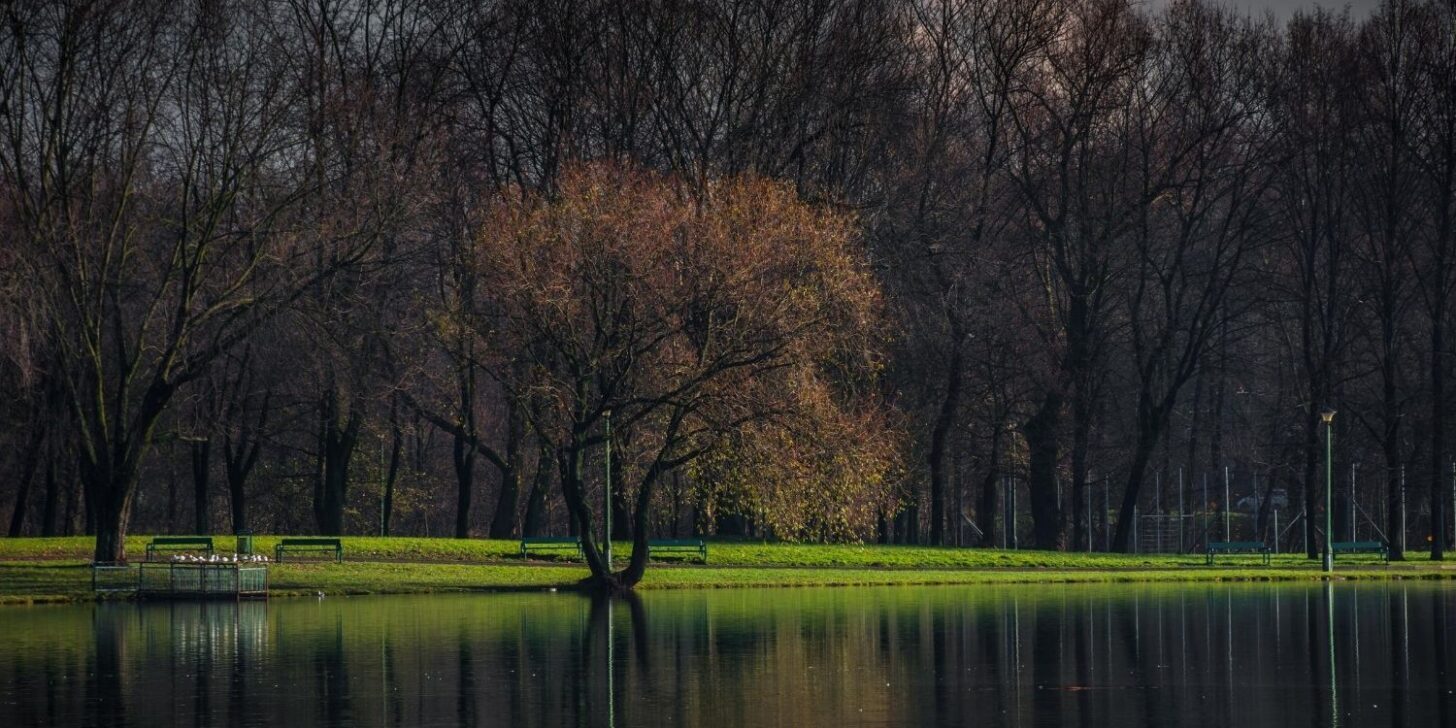 November 4: Facts & Historical Events On This Day - The Fact Site