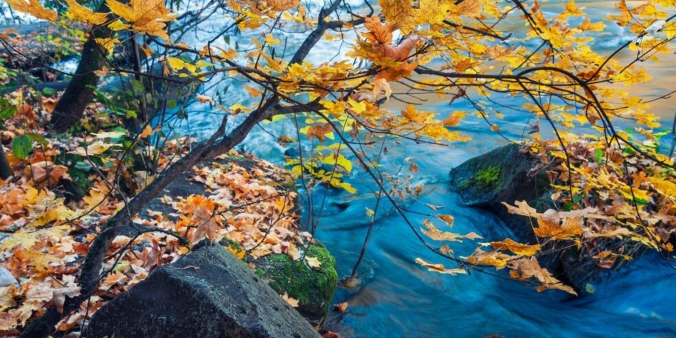 November 5: Facts & Historical Events On This Day - The Fact Site