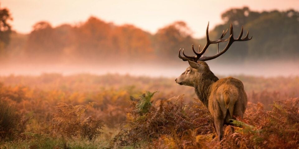 November 8: Facts & Historical Events On This Day - The Fact Site