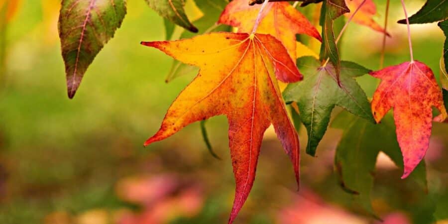 October 10: Facts & Historical Events On This Day - The Fact Site