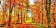 October 13: Facts & Historical Events On This Day - The Fact Site