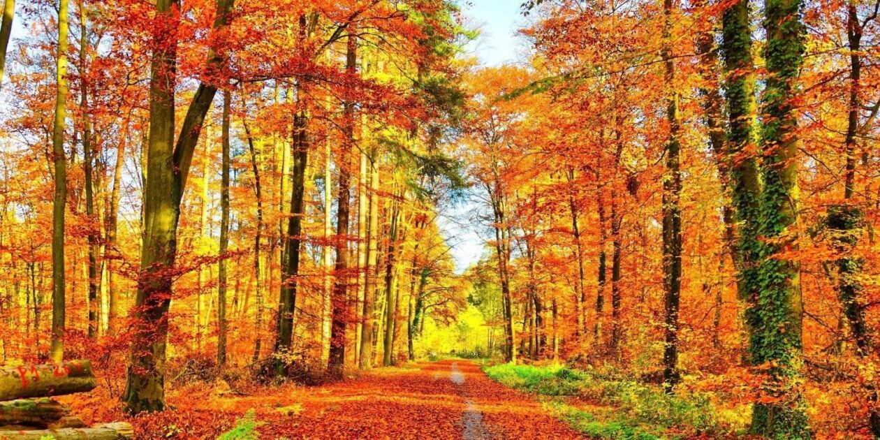 October 13: Facts & Historical Events On This Day - The Fact Site