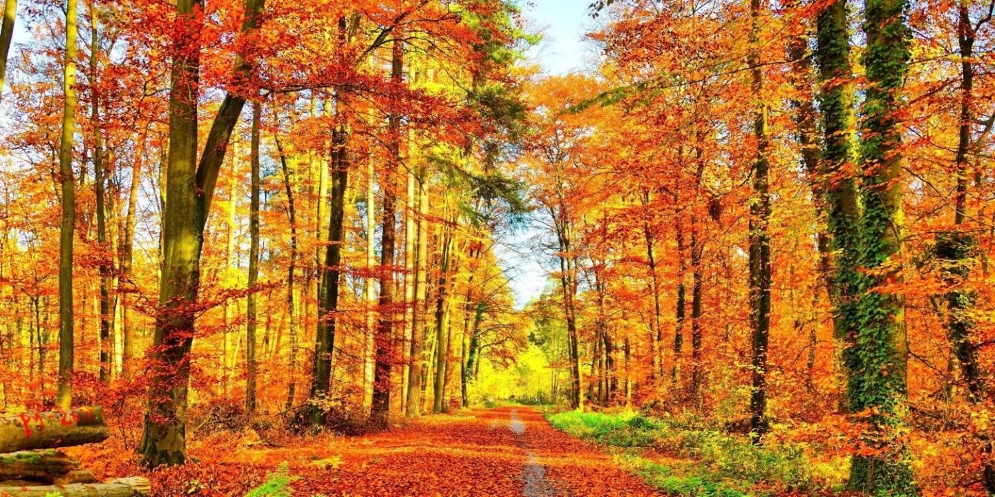 October 13: Facts & Historical Events On This Day - The Fact Site