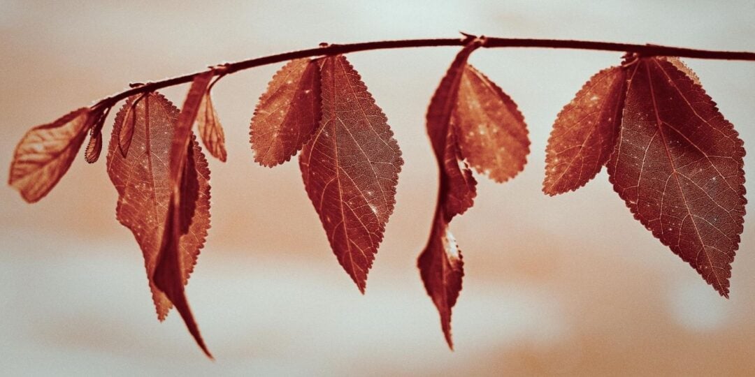 October 14: Facts & Historical Events On This Day - The Fact Site