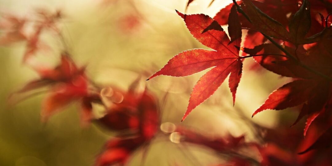 October 16: Facts & Historical Events On This Day - The Fact Site